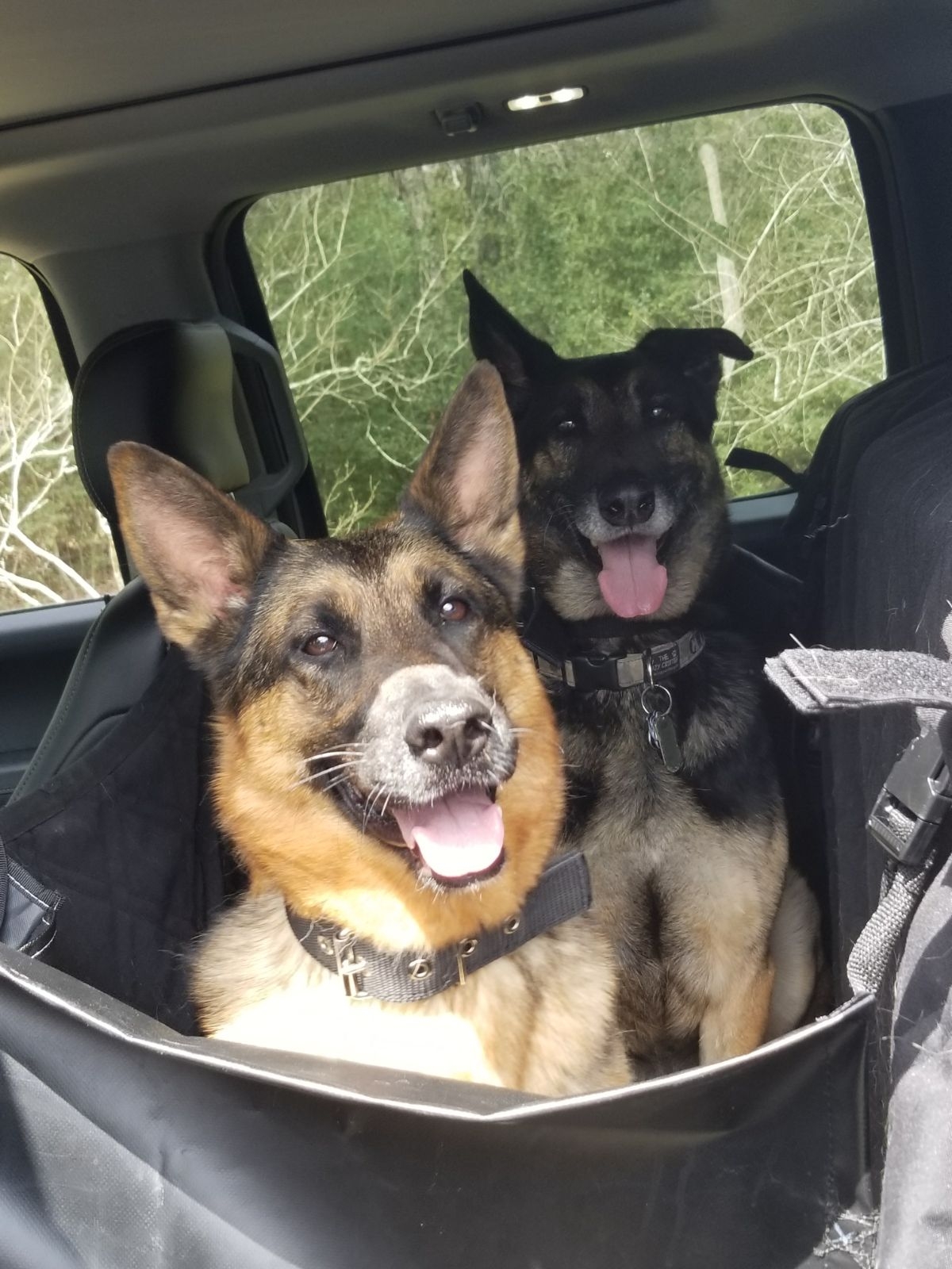 Mission K9 Rescue's Gallery