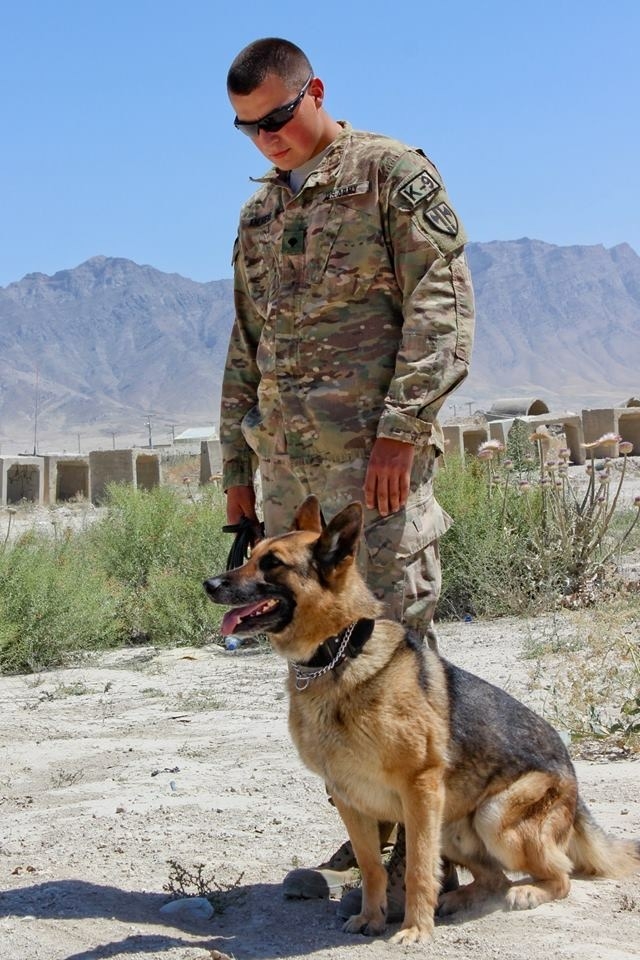 Mission K9 Rescue's Gallery