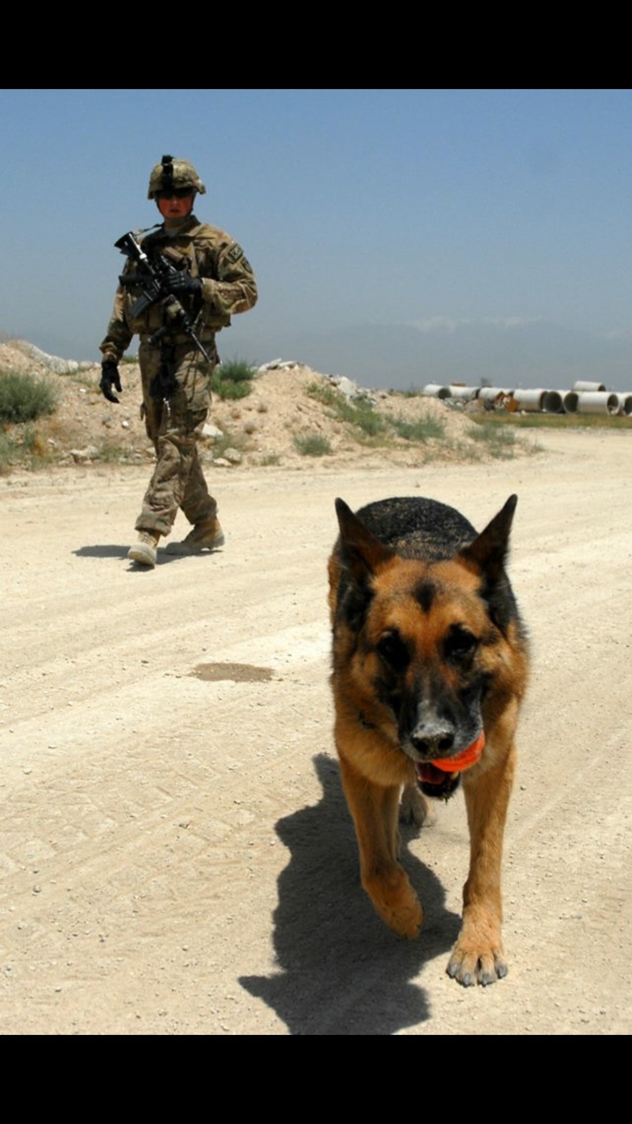 Mission K9 Rescue's Gallery