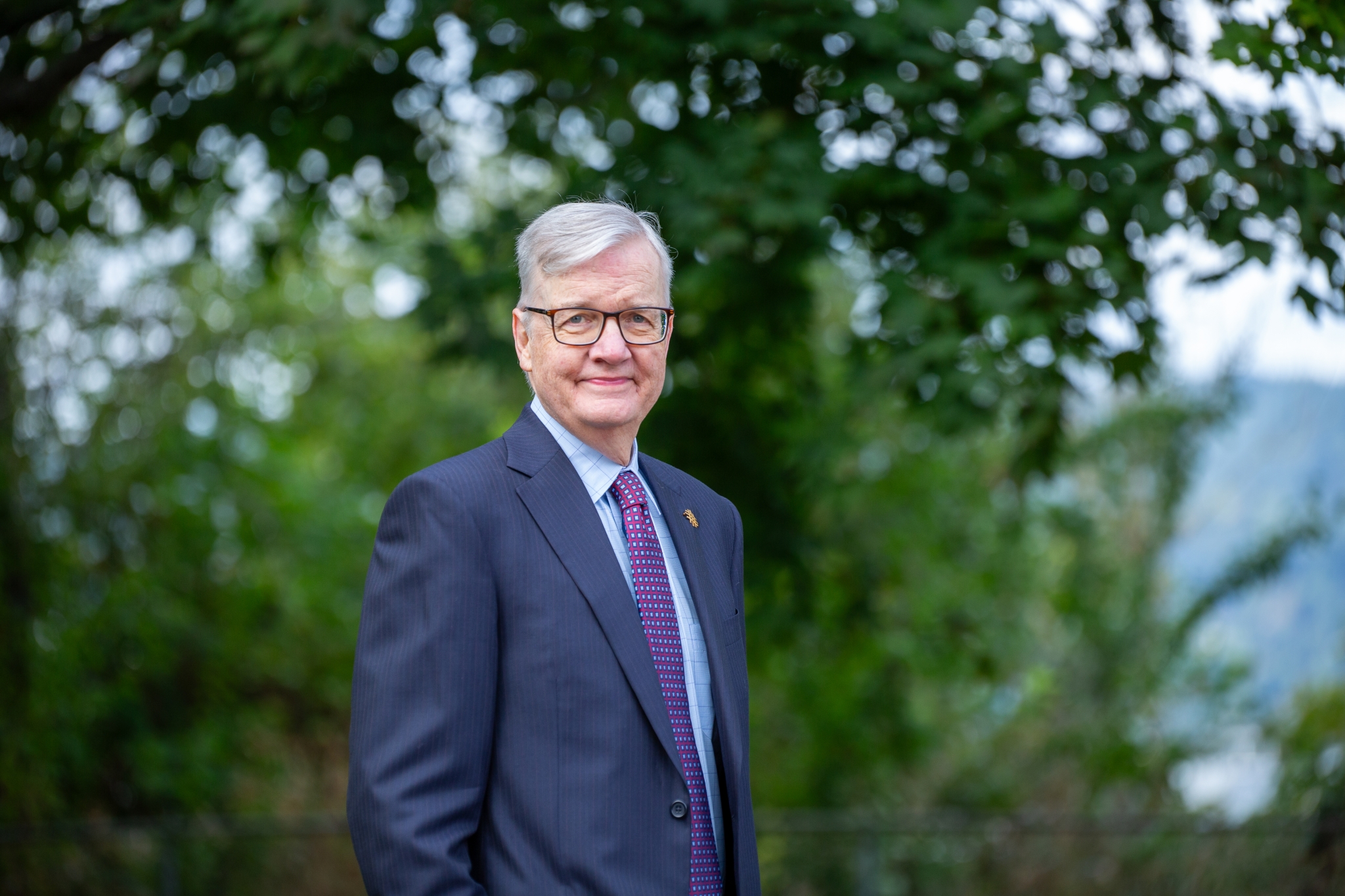 David Clarke's Gallery